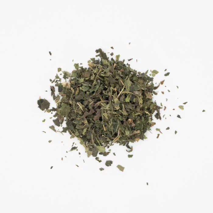 Nettle Leaf - Organic Nettle Leaf Tea - XO Teas